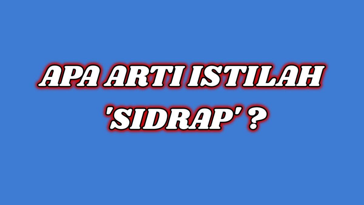 Apa Arti Sidrap Istilah Viral di TikTok? Heboh Setelah Nathalie ...