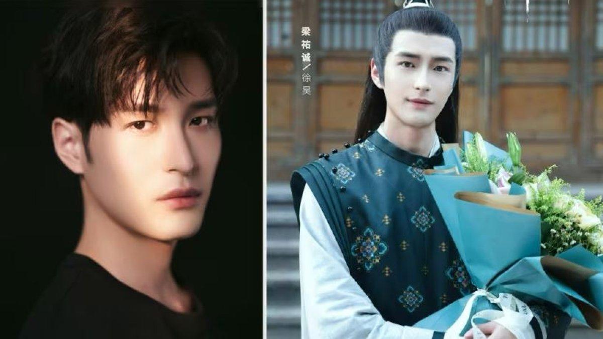 Fakta Aktor China Liang You Cheng Meninggal, Idap Influenza Mirip Barbie Hsu, Tak Ditemani ...