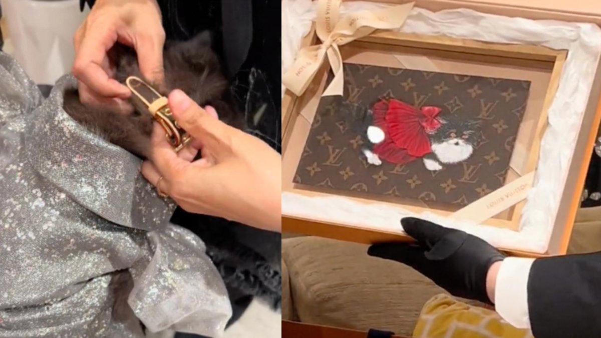 Viral Selebgram Rayakan Ultah Kucingnya, Tiup Lilin di Toko Louis ...