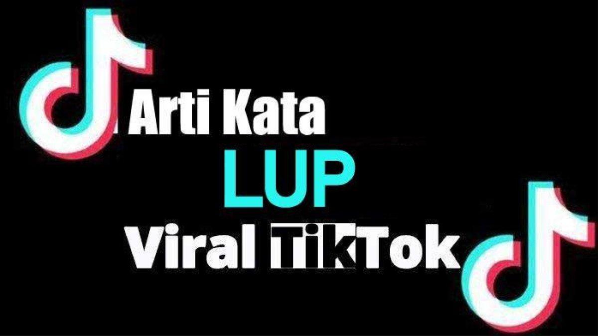 Apa Arti Lup Istilah Viral TikTok? Sering FYP, Bukan Kaca Pembesar, Ternyata Ini Maknanya ...
