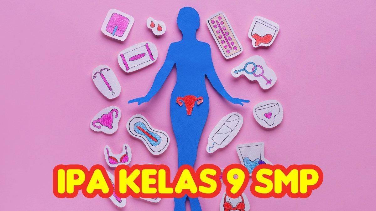 Struktur dan Fungsi Organ pada Sistem Reproduksi Perempuan. Kunci Jawaban IPA Kelas 9 SMP ...