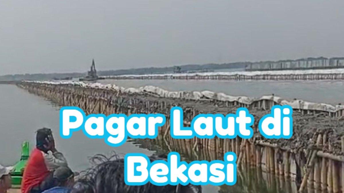 Belum Reda di Tangerang, Pagar Laut Kini Muncul di Bekasi, KKP Sudah Surati Pemilik, Artis Juga ...