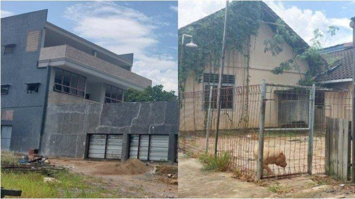 POTRET Rumah Pengusaha Pelihara Harimau, Pekerja Tewas Diterkam ...