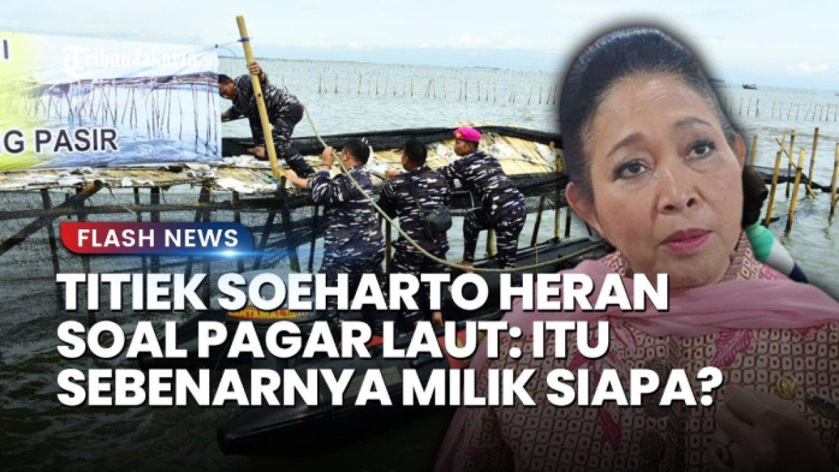 'Separuh Jagorawi!' Reaksi Titiek Soeharto Soal Pagar Laut Tangerang 30 Km, Siap Bertemu Menteri ...