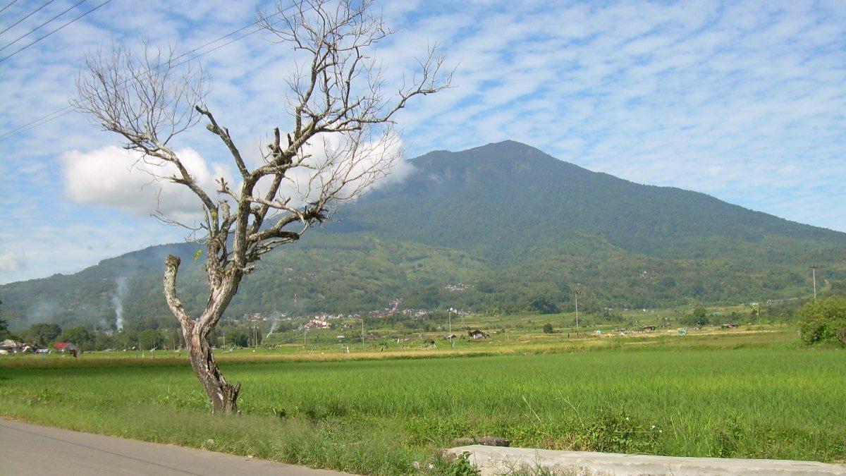 Sumatera Barat Ajukan Kabupaten Agam Tuo, Mencakup 10 Kecamatan ...