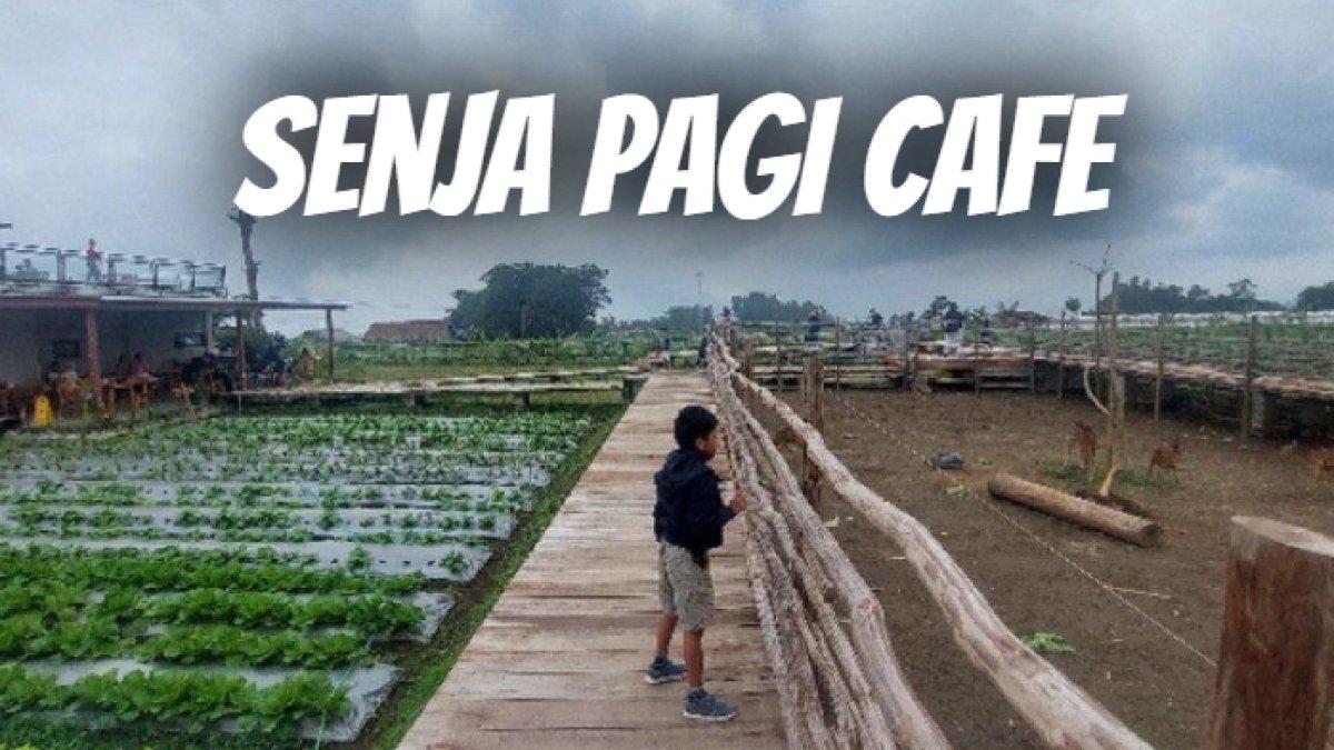 Di Magelang Ada Kafe Cocok Buat Healing, Bisa Santai Sambil Lihat ...