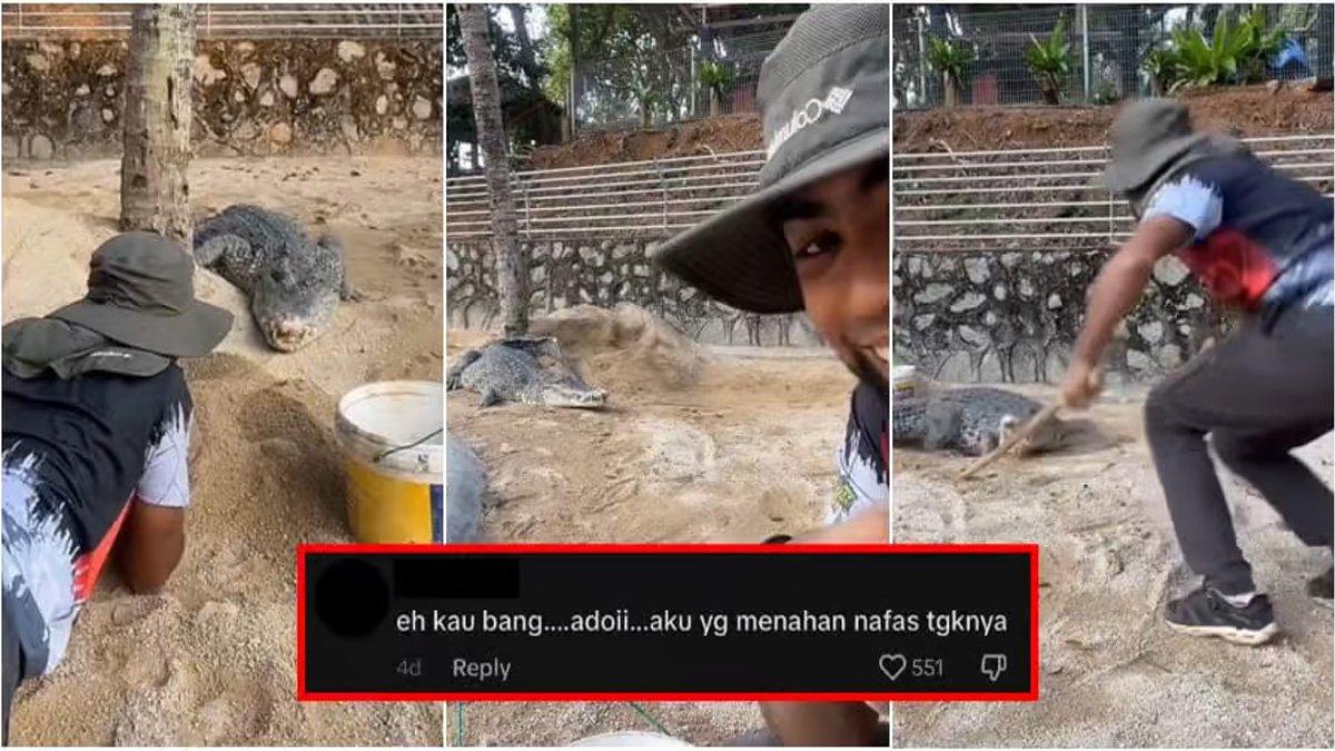 Berapa Gajinya? Pawang Buaya Dapat Tugas Ekstrim Kumpulkan Telur Buaya, Hampir Tiga Kali ...