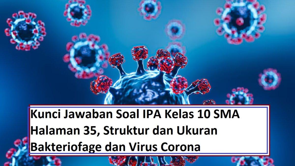 Kunci Jawaban Soal IPA Kelas 10 SMA Halaman 35, Struktur dan Ukuran Bakteriofage dan Virus ...