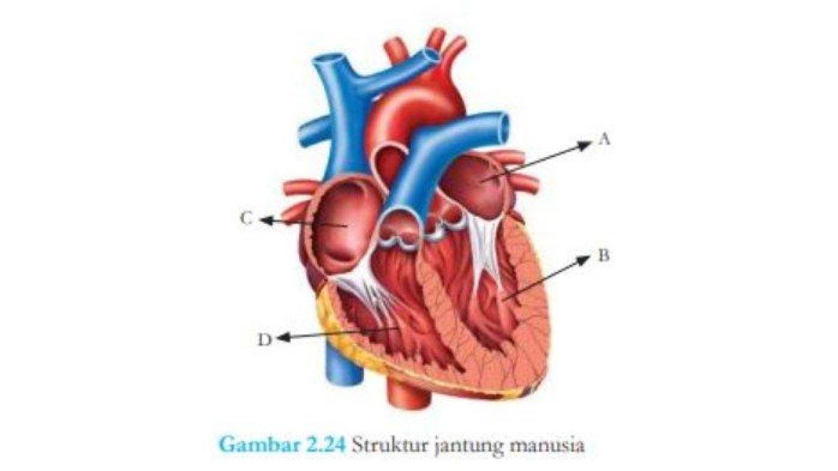 Kunci Jawaban Ilmu Pengetahuan Alam atau IPA Kelas 8 SMP Halaman 64 ...
