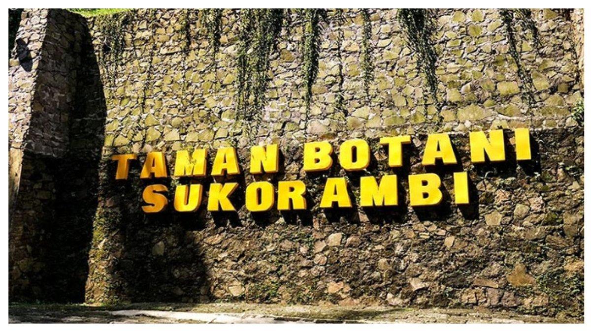 Jember Punya Wisata Edukasi Alam, Ada Ikan, Landak hingga Rusa, Cocok ...