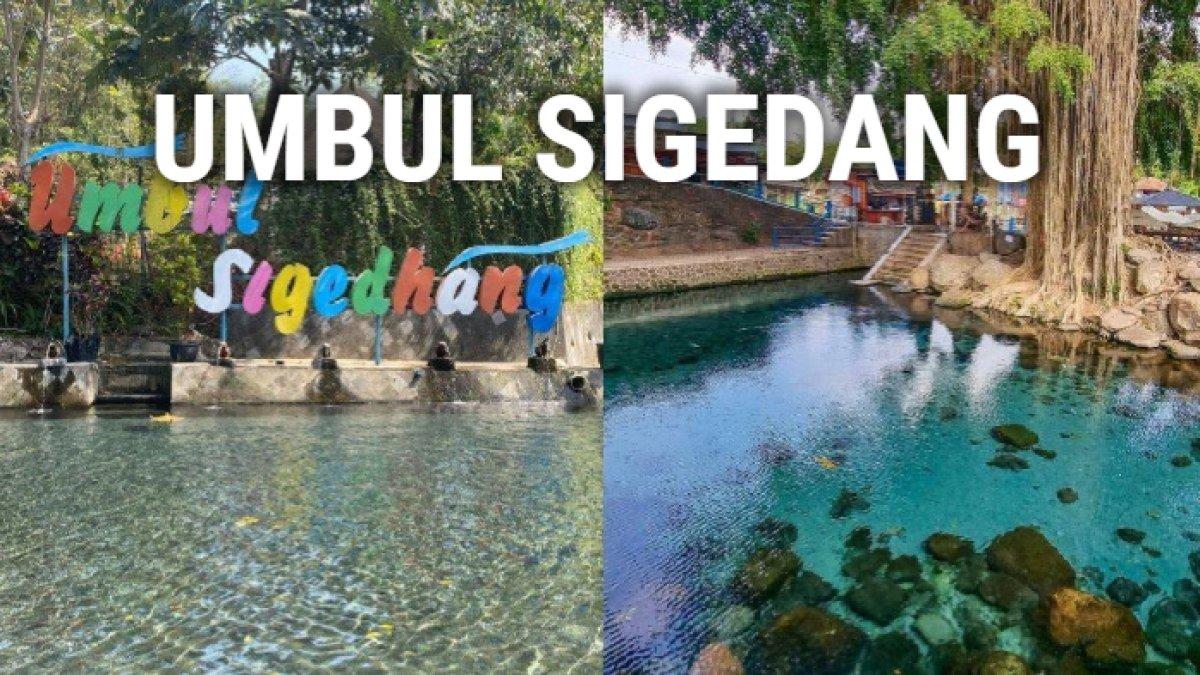 Berita Polanharjo Terbaru Hari Ini - TribunTrends.com