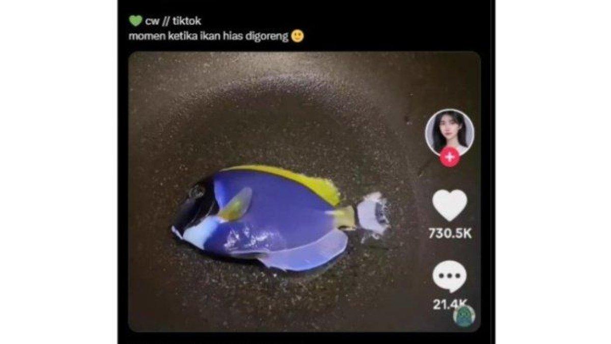 Warganet Heboh Ikan Dory Finding Nemo Dimasak, Benarkah Bisa Bikin ...