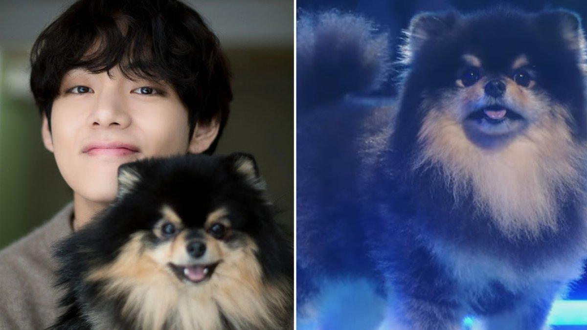 Fans Soroti Momen V BTS Ajak Yeontan Tampil di Panggung Mnet M ...