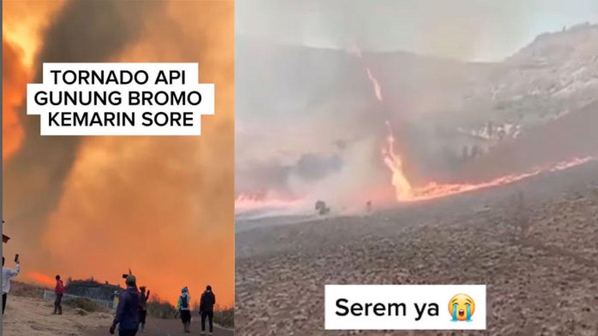 HEBOH Video Api Tornado di Hutan Bromo, Buntut dari Foto Prewedding ...