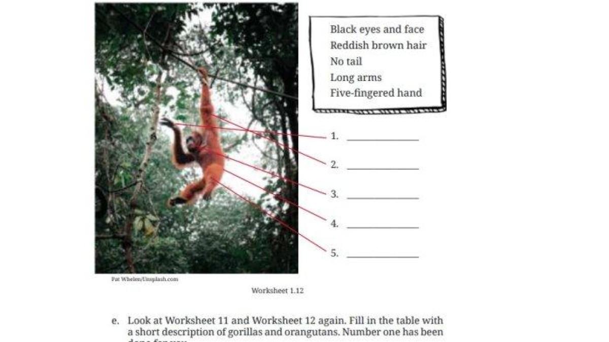 Kunci Jawaban Bahasa Inggris Kelas 9 Halaman 51, Worksheet 1.12 & 1.13 ...