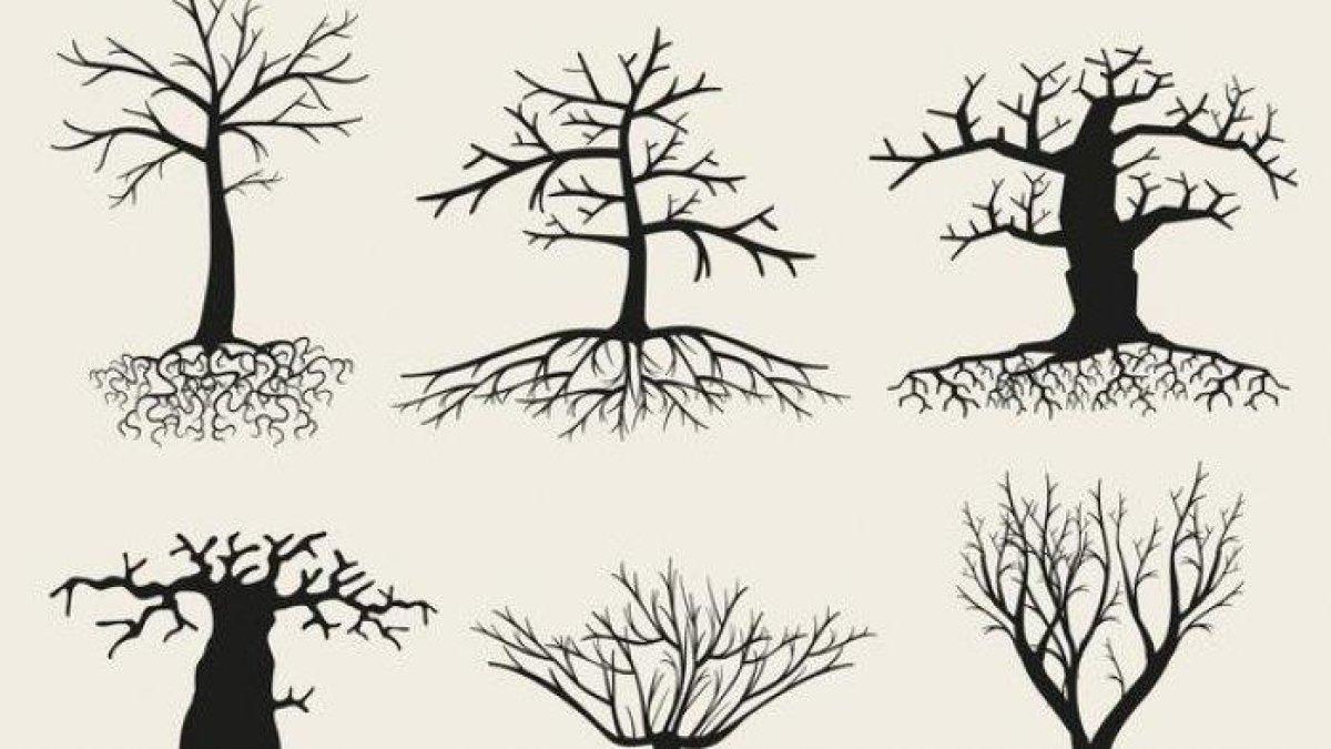 Video Kunci Jawaban Latihan Soal IPA Kelas 4 SD: Tumbuhan Dapat Membuat ...