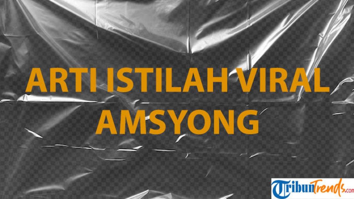 Apa Arti Amsyong, Istilah Viral di TikTok? Kerap Diucapkan Warganet di ... Apa Arti Amsyong, Istilah Viral di TikTok? Kerap Diucapkan Warganet di ...