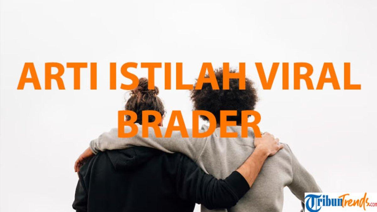 Apa Arti Brader, Istilah Viral di TikTok? Kata Plesetan Bahasa Inggris Ini Kerap Dipakai Netizen ...