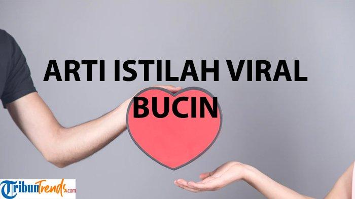 Apa Arti Bucin, Istilah Viral di TikTok? Kata Populer Ini Kerap Dipakai Menggambarkan Suatu ...