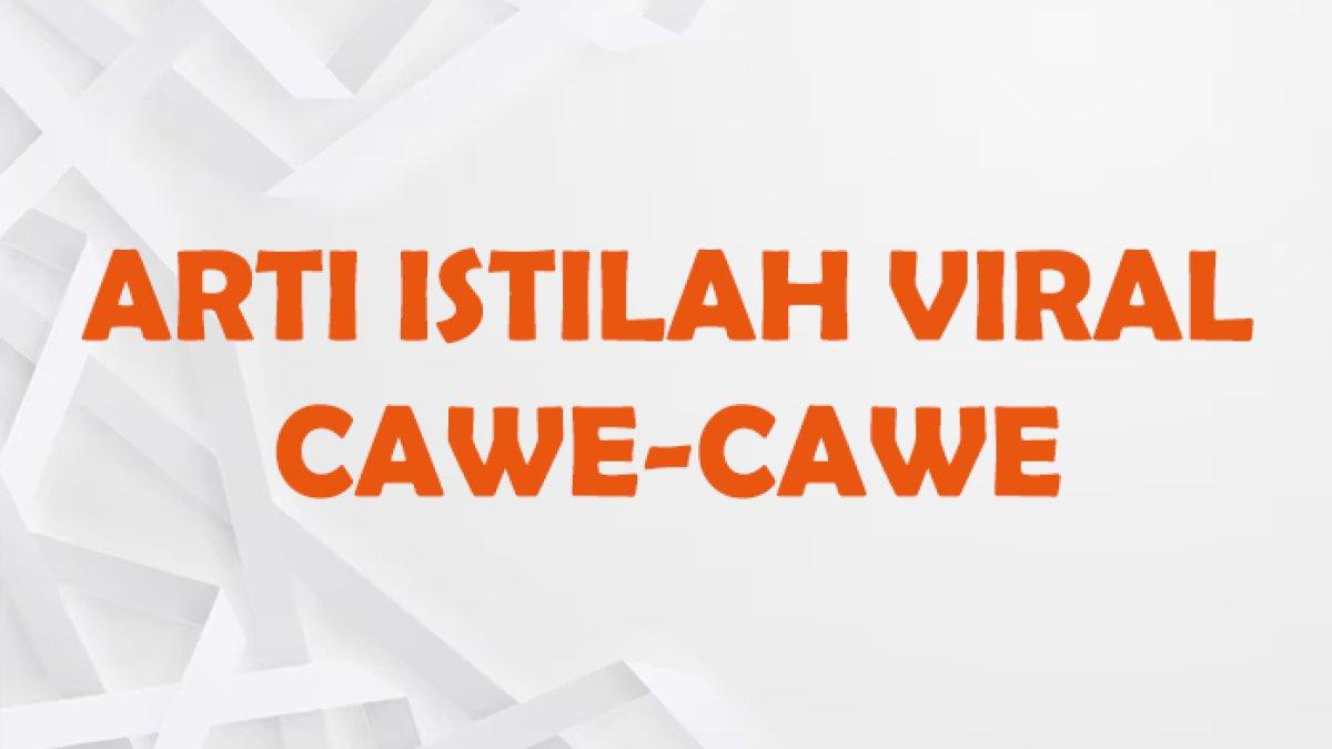Apa Arti Cawe-cawe, Istilah Viral di TikTok? Kata Populer Ini Kerap Digunakan Warganet di Medsos ...