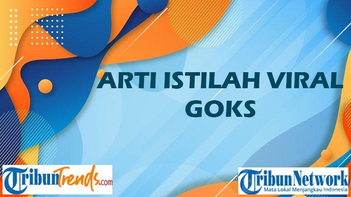 Apa Arti Goks? Istilah Ini Viral di TikTok dan Instagram, Bahasa Gaul yang Kerap Dipakai Netizen ...