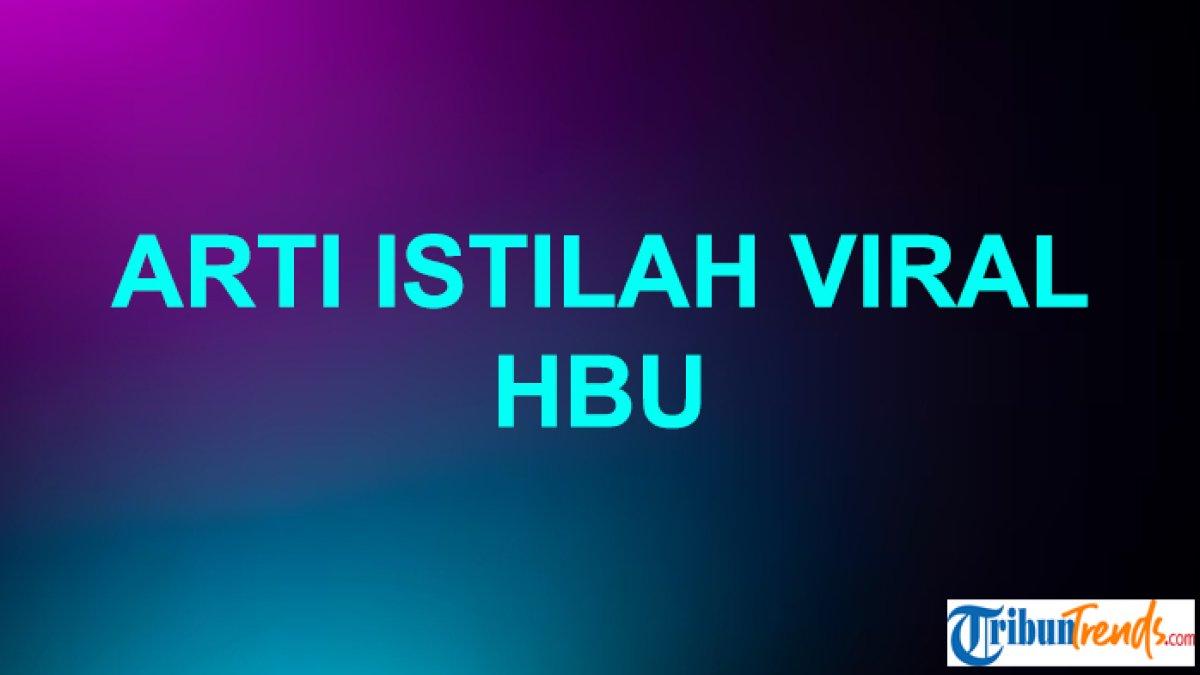 Apa Arti HBU, Istilah Viral di TikTok? Kata Ini Kerap Juga Dipakai Warganet di FB, IG dan ...