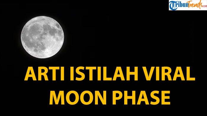 Apa Arti Moon Phase, Istilah Viral di TikTok? Kerap Dibahas Warganet di ...