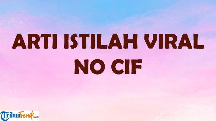 Apa Arti No CIF, Istilah Viral di TikTok? Warganet Jangan Sembarang ...