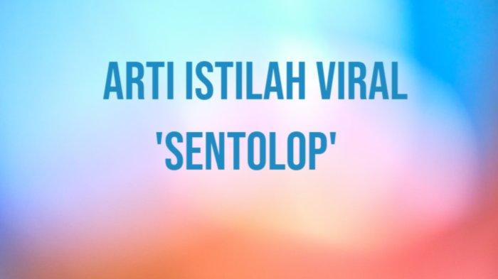 Apa Arti Sentolop Istilah Viral di TikTok? Tak Boleh Sembarang ...