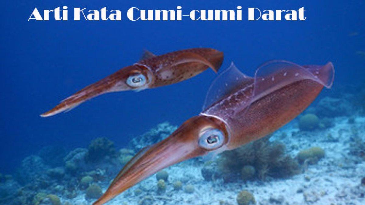 Apa Arti Cumi-cumi Darat Istilah Viral TikTok? Merujuk ke Kendaraan Ini ...