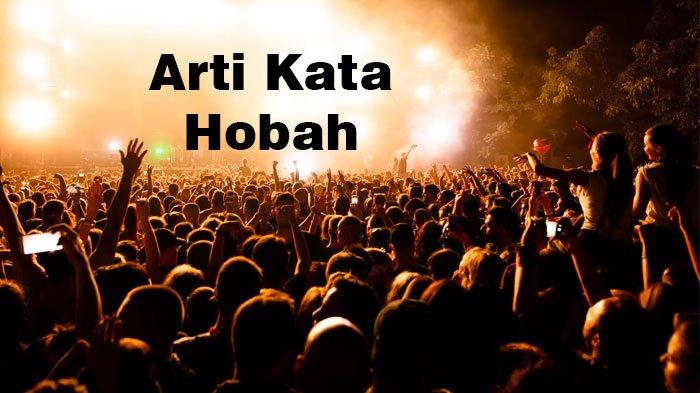Apa Arti Hobah Istilah Viral TikTok? Sering Muncul saat Konser dan ...