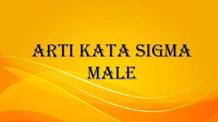 Apa Arti Sigma Male Istilah Viral TikTok? Ini Ciri-ciri Seorang Sigma ...