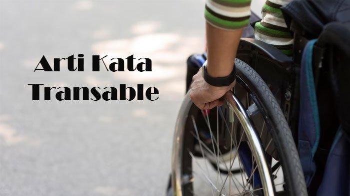 Apa Arti Transable Istilah Viral TikTok? Hits setelah Kata Transgender ...