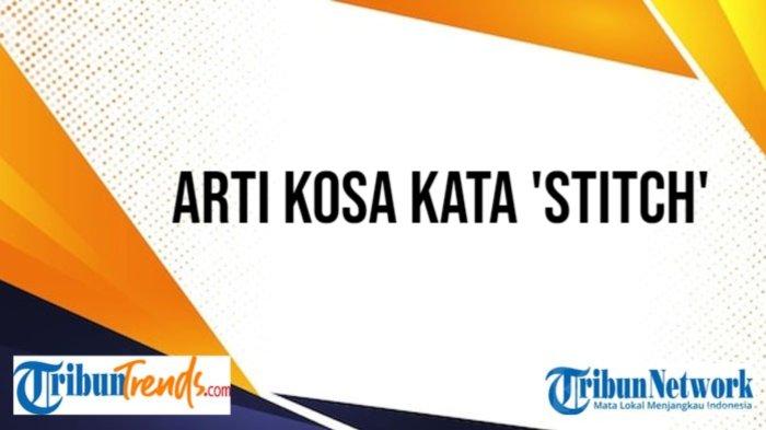 Apa Arti Stitch Istilah yang Viral di TikTok hingga Instagram? Ternyata ...