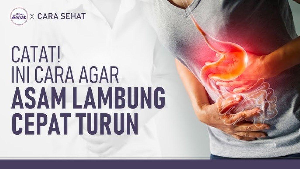 5 Cara Mengobati Asam Lambung Secara Alami Makan Dalam Porsi Kecil ...