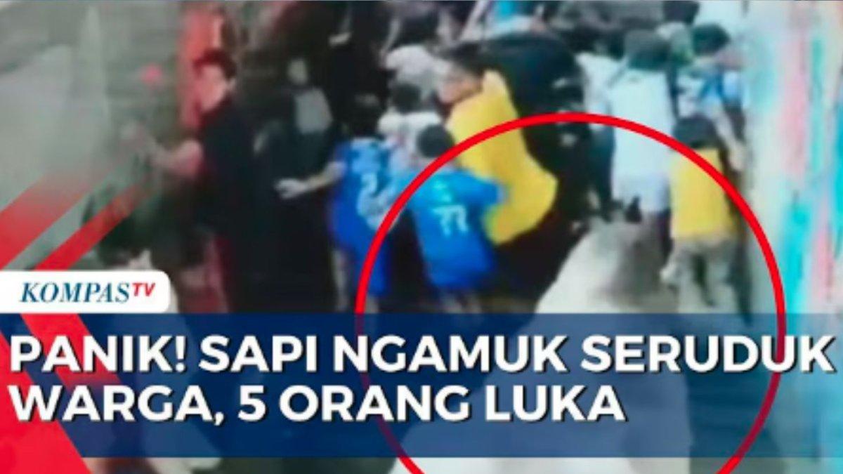 Detik-detik Bocah di Bandung Diseruduk Sapi Kurban hingga Patah Tulang ...