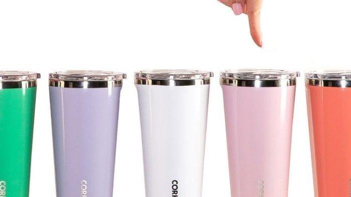 Apa Arti Corkcicle Istilah Viral TikTok? Botol Minum Hits yang Harganya Mulai dari Setengah ...