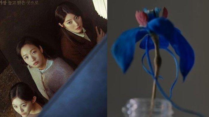 Dianggap Lambang Kematian, Anggrek Hantu Sering Muncul di Drakor Little ...