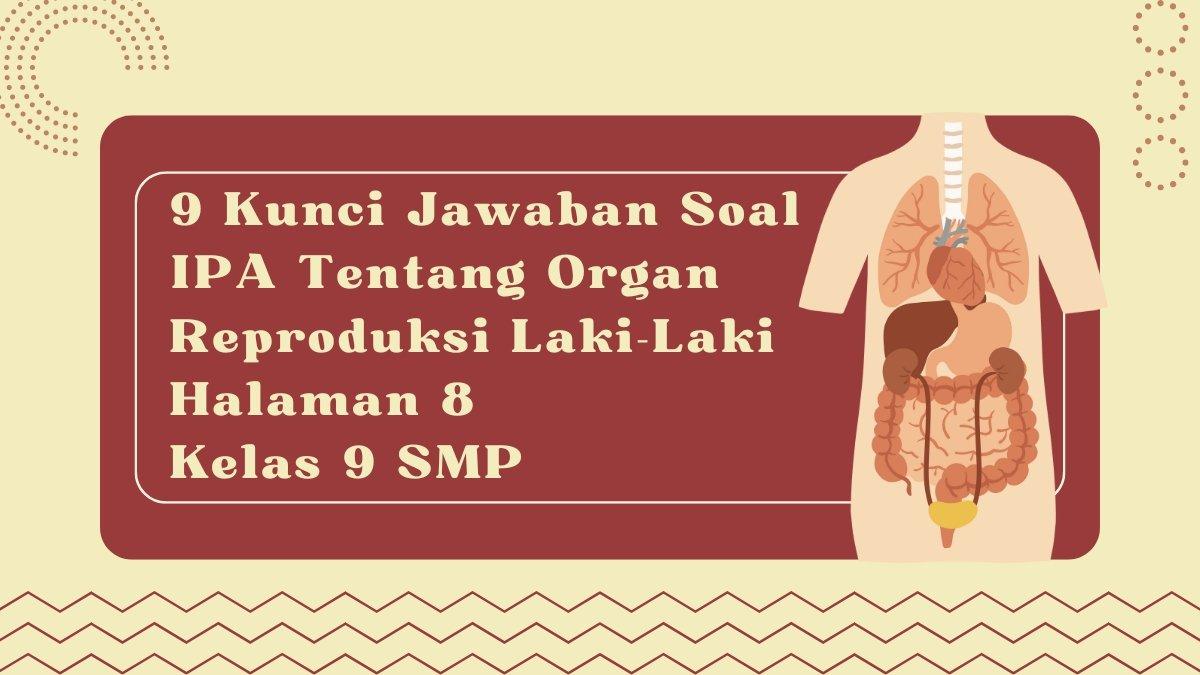 9 Kunci Jawaban Soal IPA Tentang Organ Reproduksi Laki-Laki Halaman 8 ...