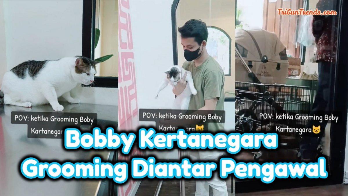 Cerita Pegawai Salon Hewan Mandikan Bobby Kucing Milik Prabowo, 'Tuan ...