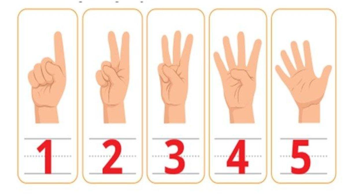 Kunci Jawaban Matematika Kelas 1 SD/MI Halaman 13, Hitung Banyak Jari ...