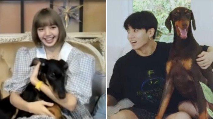 Sama-sama Pelihara Anjing Doberman, Jungkook BTS dan Lisa BLACKPINK ...