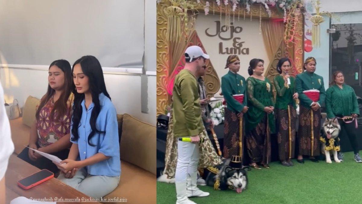 Nena Ghoib Tim Staf Khusus Presiden yang Gelar Pernikahan Anjing Minta ...