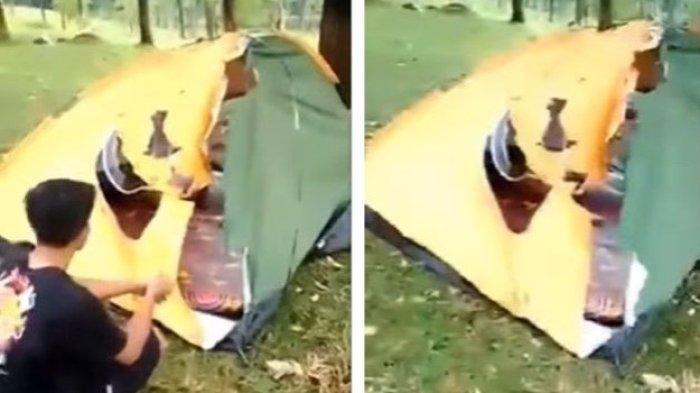 VIRAL Dua Sejoli Tersambar Petir saat Berkemah, Terkapar Tak Berdaya di ...