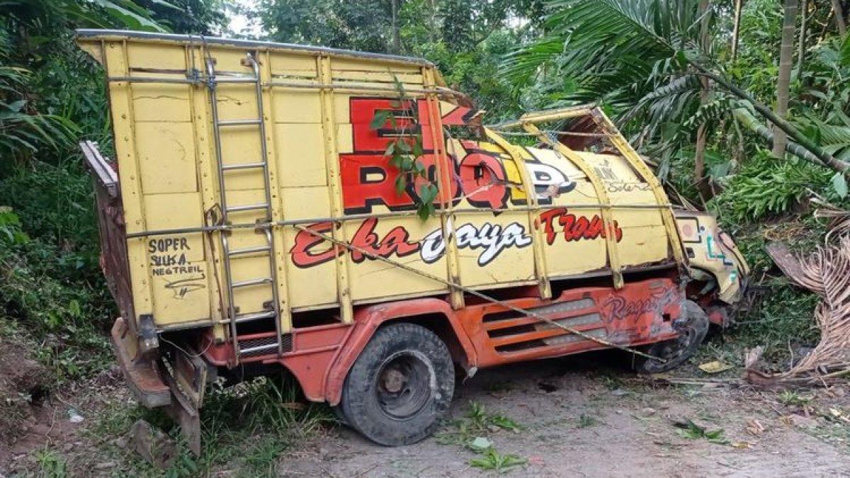 Penumpang Panik, Truk Bawa Rombongan 25 Orang di Probolinggo Tiba-tiba Terguling, 1 Orang Tewas ...