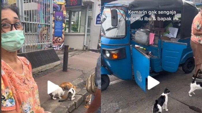 Viral Pasutri Ini Setiap Hari Beri Makan 300 Kucing Liar, Rela Sewa Bajaj Keliling Kota Jakarta ...