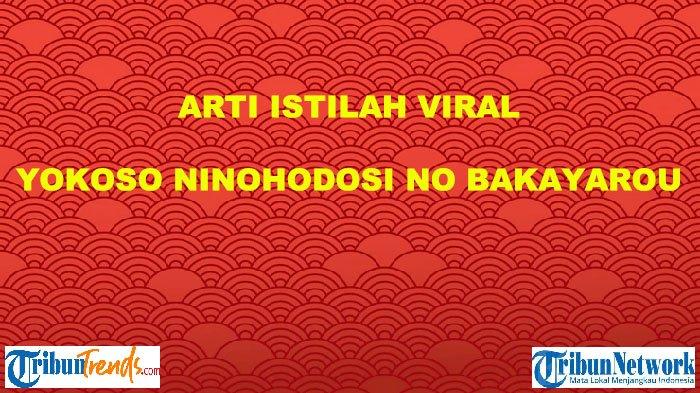 Apa Arti Yokoso Ninohodosi No Bakayarou Istilah Viral di TikTok? Bahasa ...