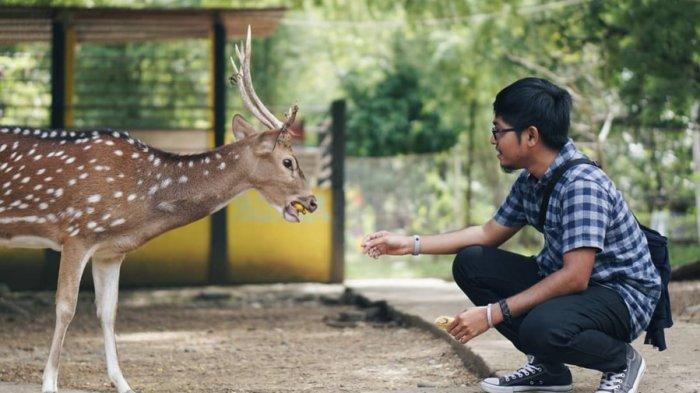 Jogging Sambil Memberi Makan Rusa di Taman Rusa Sekupang - TribunBatam Wiki