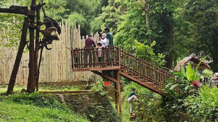 Bazoga Diserbu Wisatawan, Pengelola Terapkan Protokol Kesehatan Ketat ...