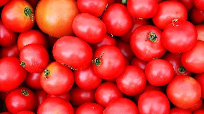 Miliki Segudang Manfaat Bagi Tubuh, Berikut 4 Manfaat Konsumsi Tomat ...